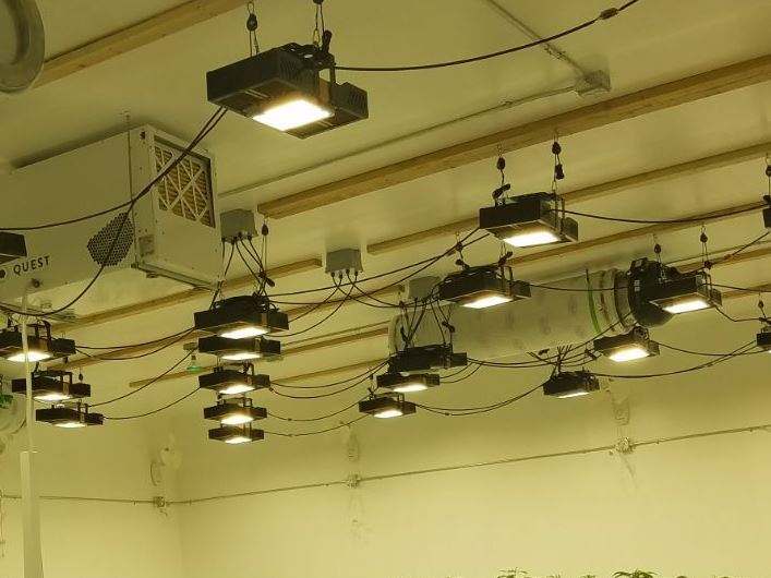 Spectrum King LED lighting solutions - Cantopia