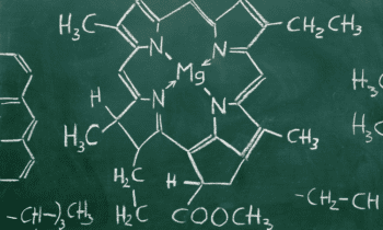 The Entourage Effect: How Cannabis Compounds Work Together - Cantopia